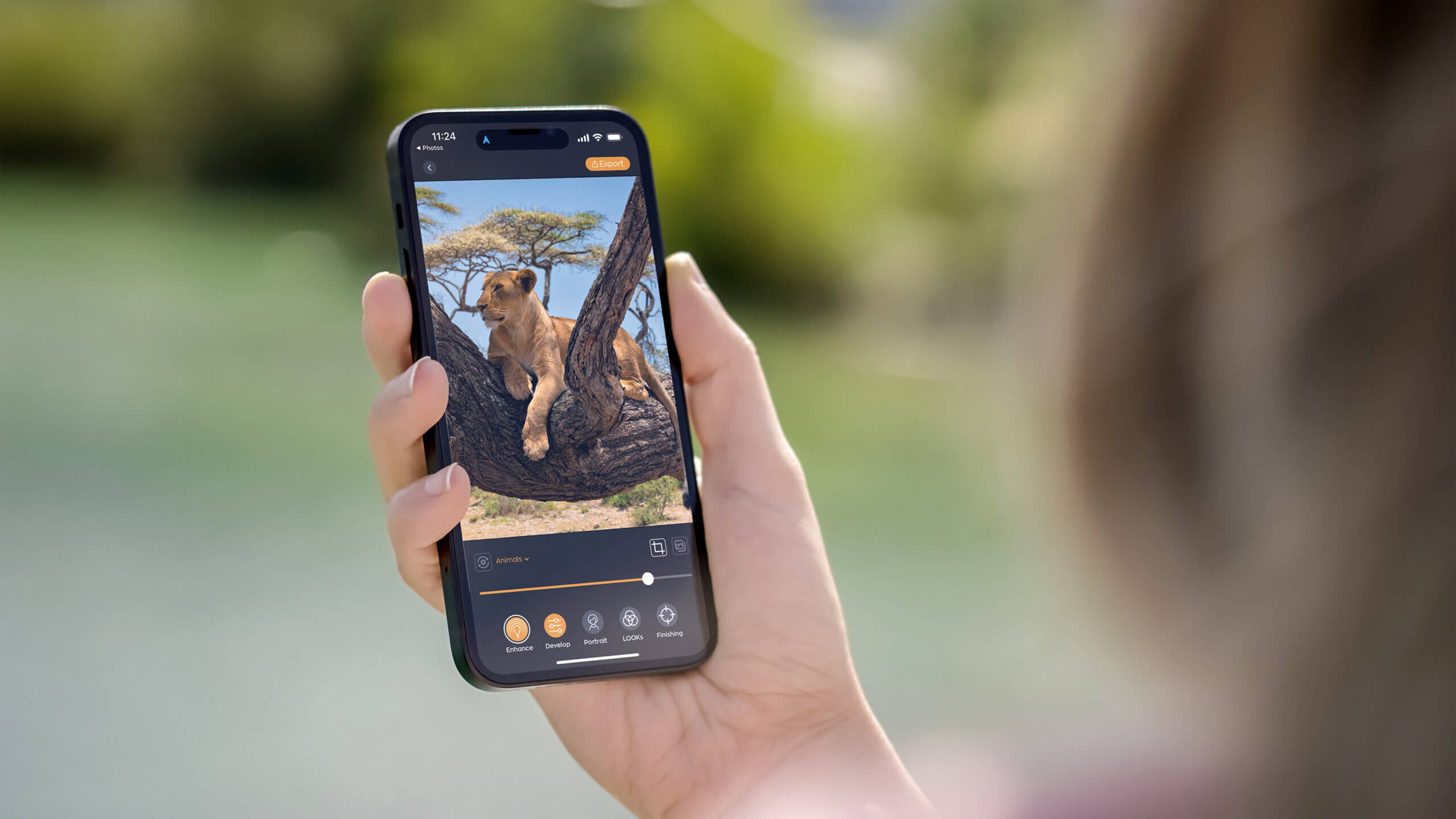 Radiant Photo Mobile is here: Smart photo editing in your pocket ...