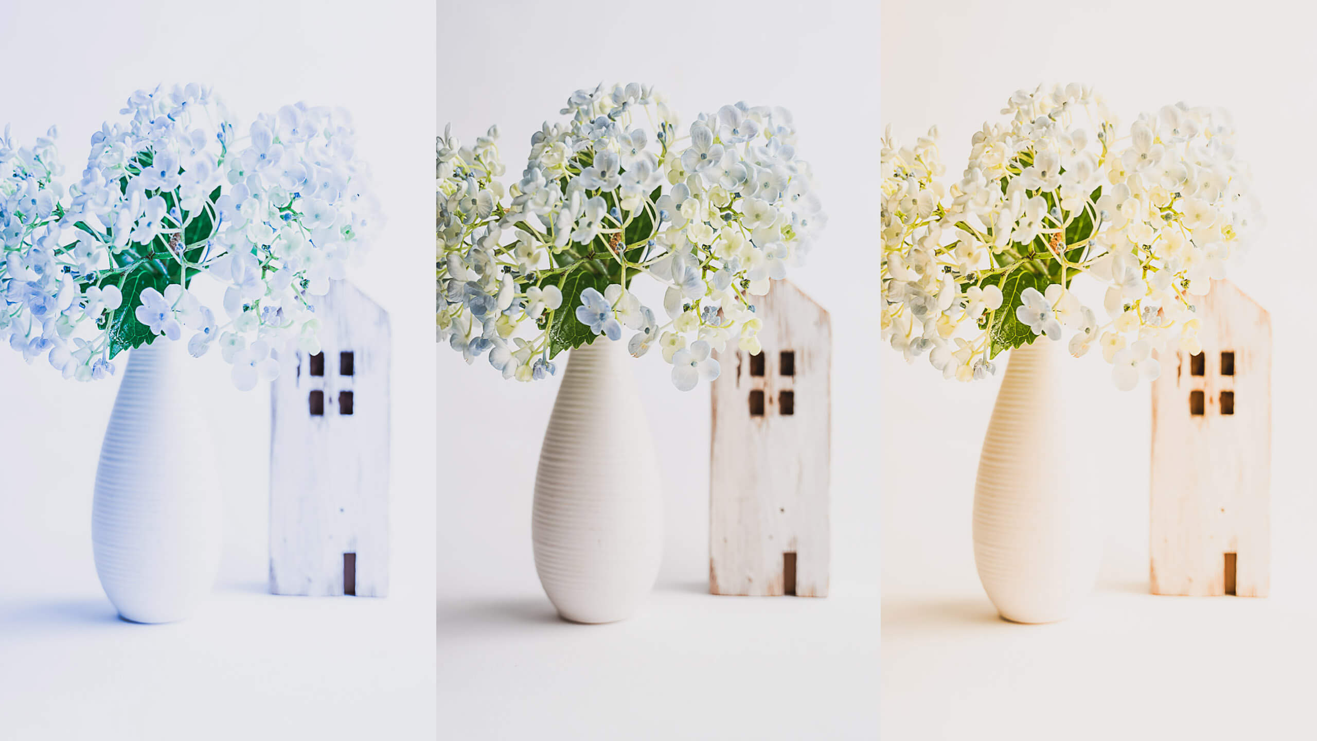 What white balance setting should you use? - Photofocus