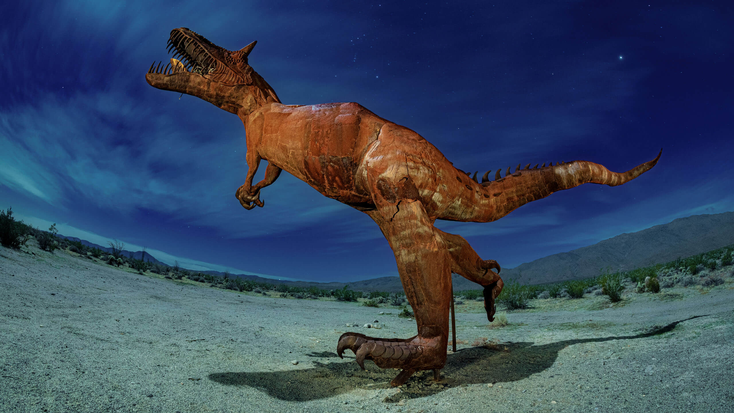 Your questions answered: Why the night sky may be blue and more!